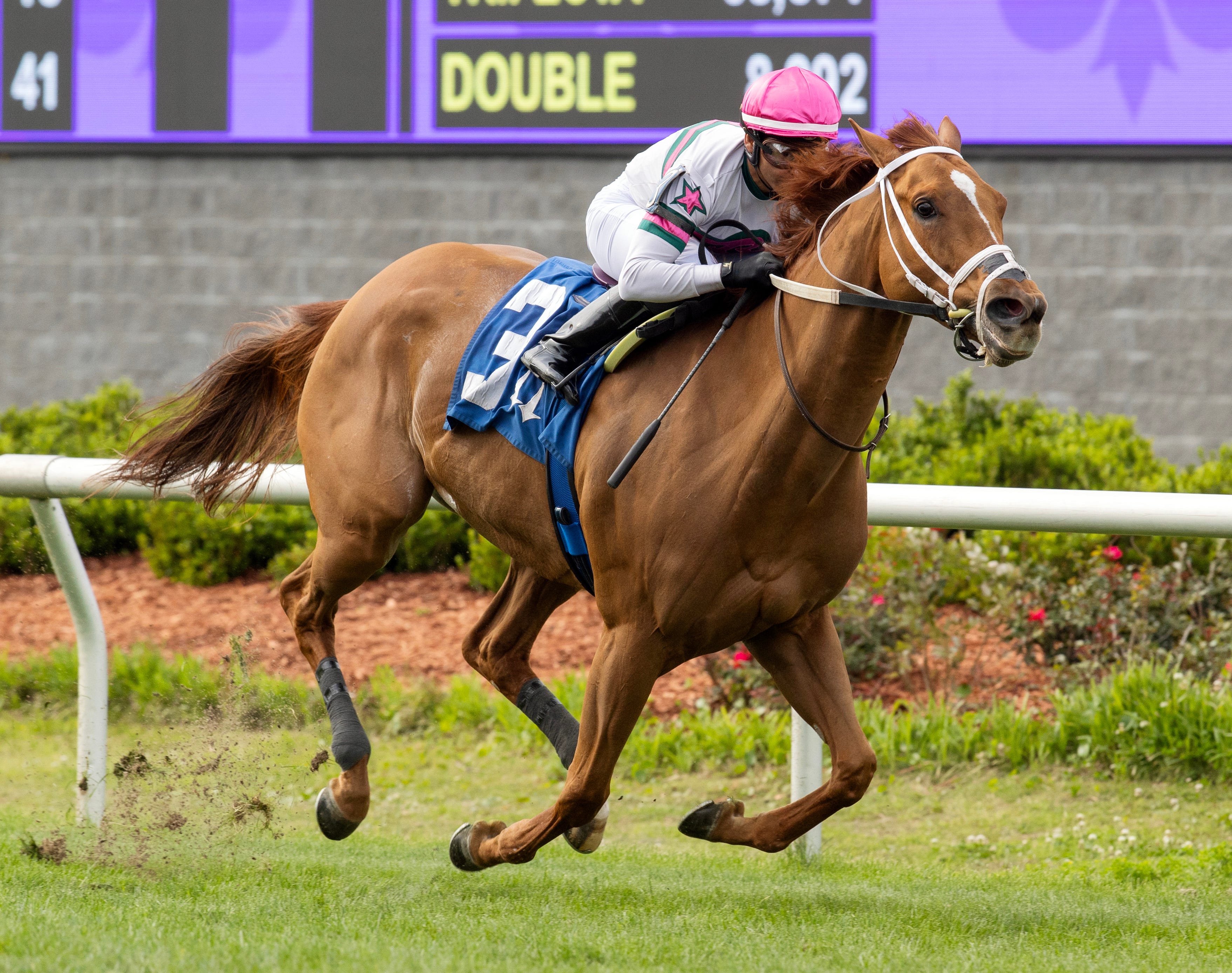 Andrew Beyer: Ova Charged's 113 was not overestimated